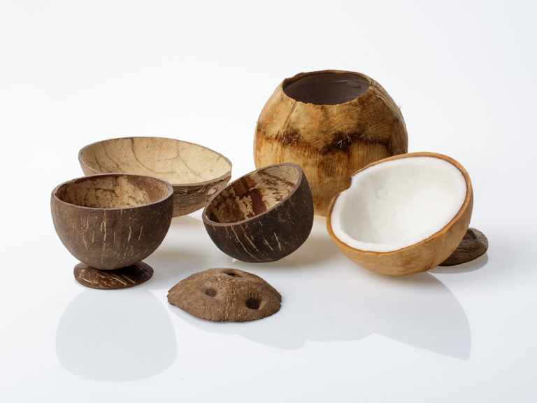 Coconut shell - IBKTropic