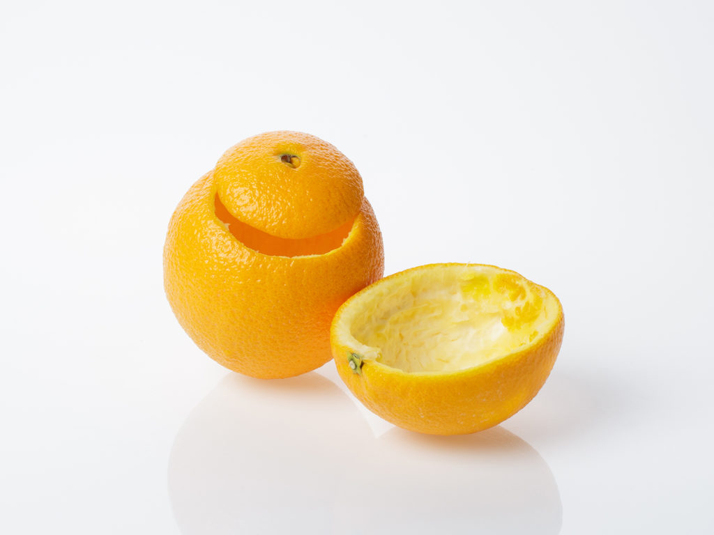 Orange shell - IBKTropic