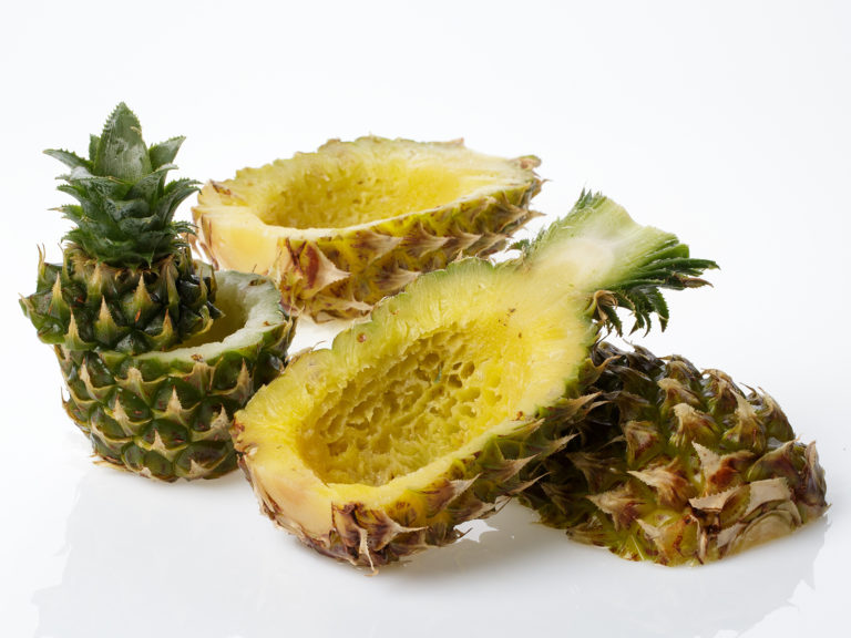 Pineapple shell - IBKTropic