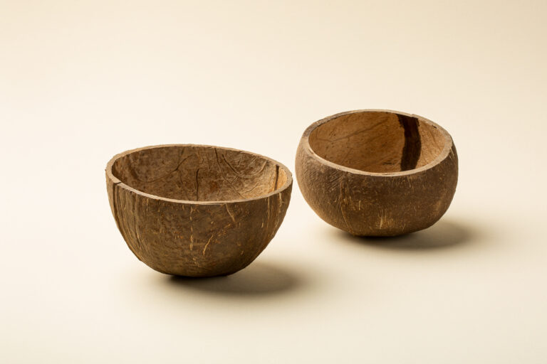 Small Coconut Container - IBKTropic