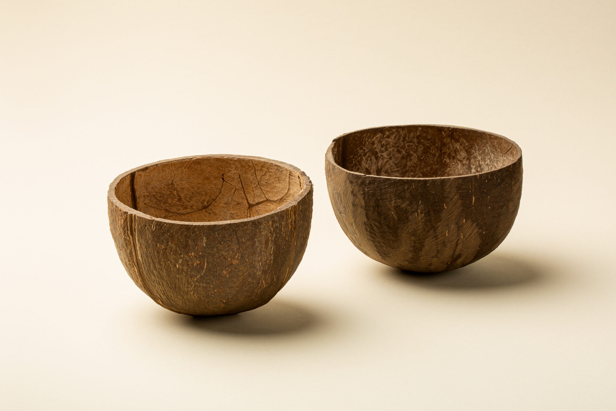 Medium Coconut Container - IBKTropic