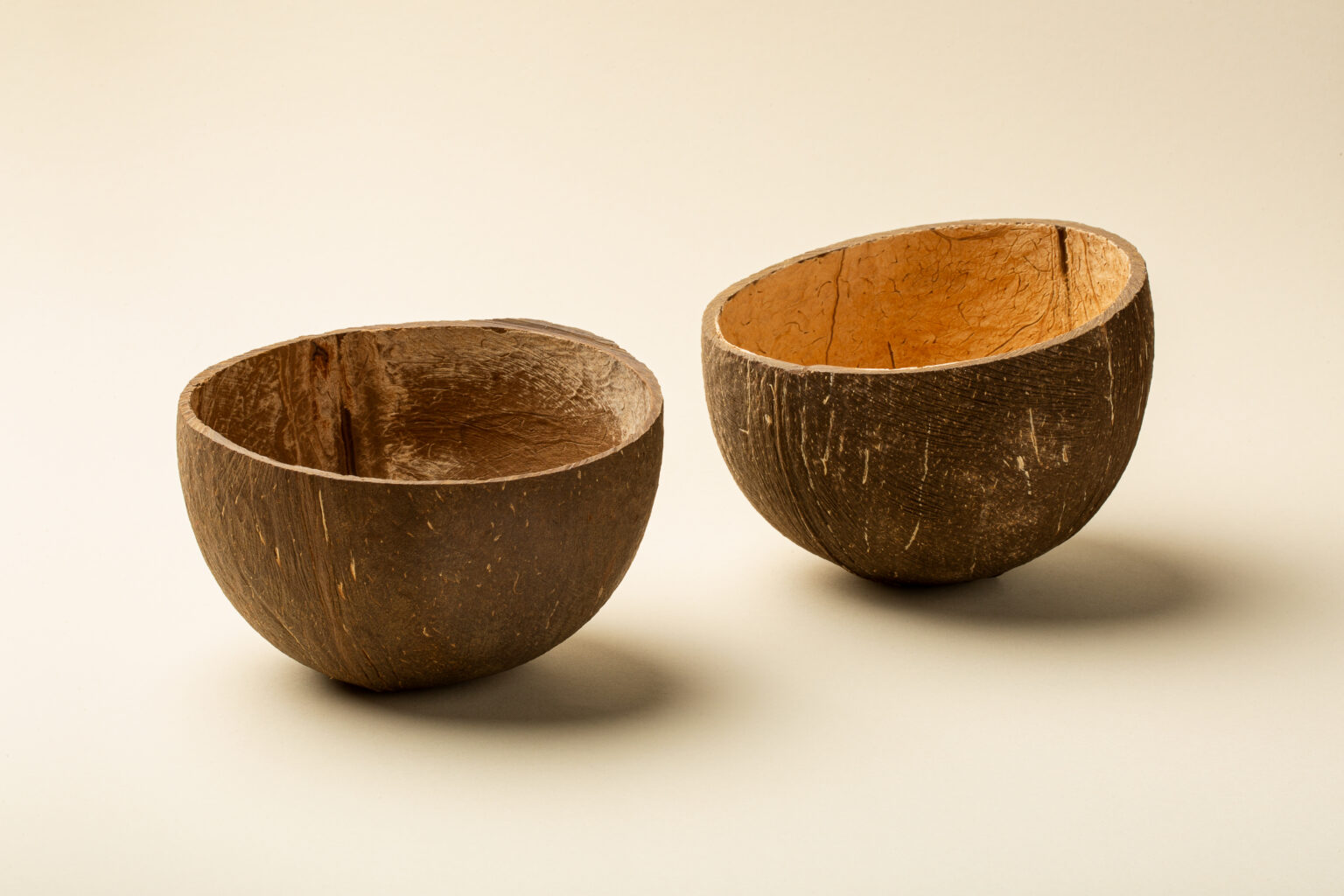 Big Coconut Container - IBKTropic