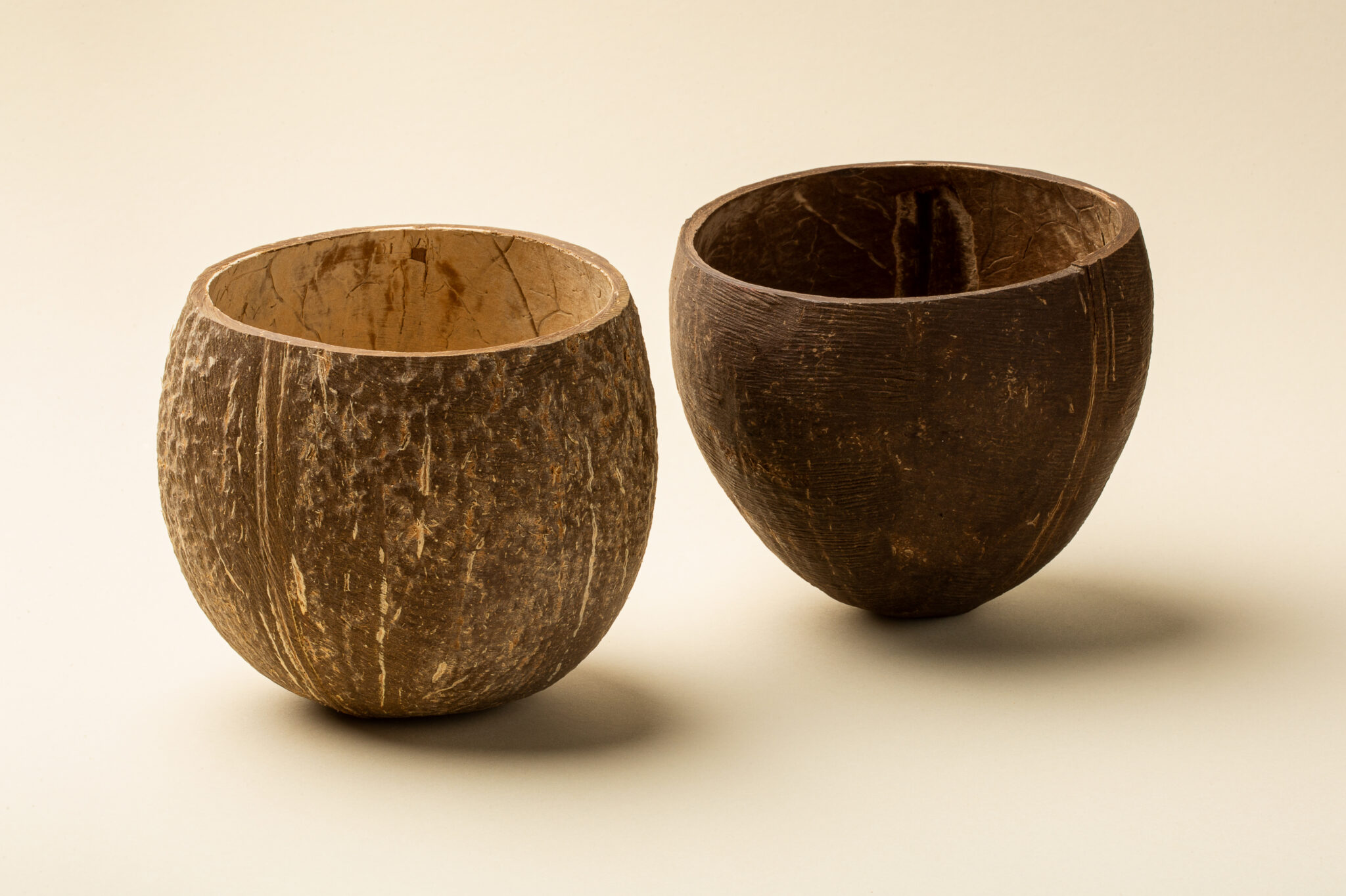 Big Coconut Container with Top Cut - IBKTropic