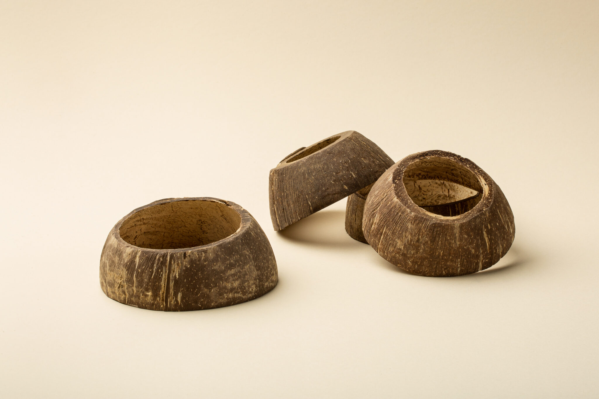 Anillos Base Para Coco - IBKTropic