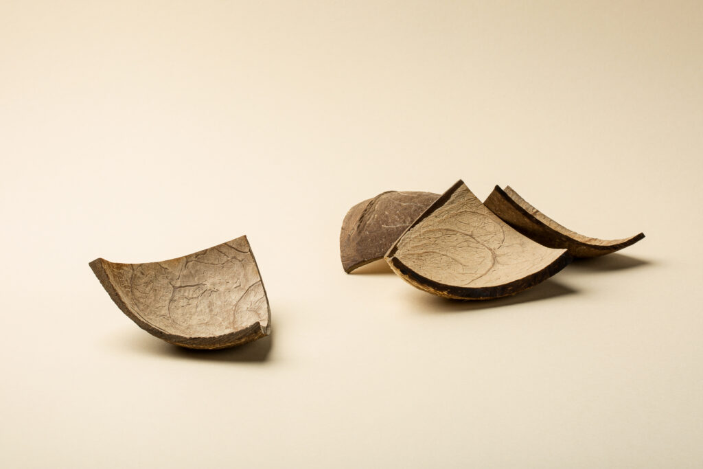 Triangular Coconut Shell - IBKTropic